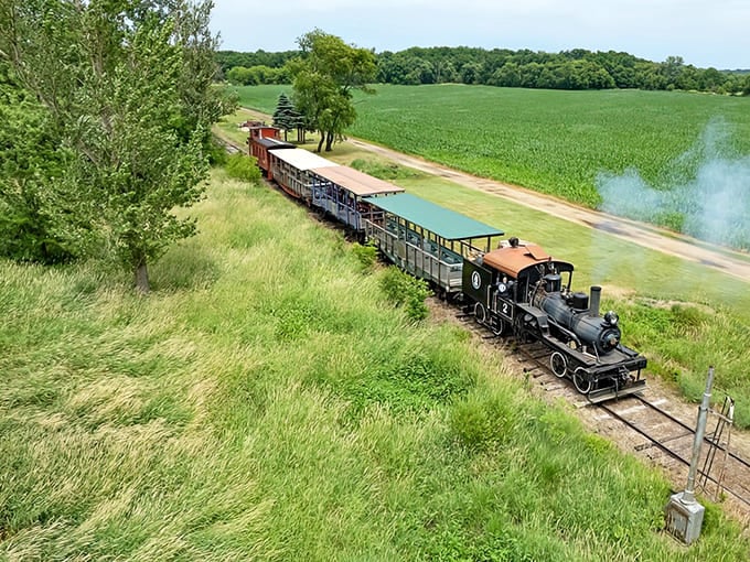 Rolling through Illinois countryside at the perfect speed for actually seeing what you're passing, this train ride delivers views that make you forget your phone exists in your pocket.