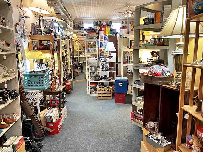 Narrow pathways create an intimate treasure hunt experience, with shelves packed floor-to-ceiling with memories waiting to be rediscovered.