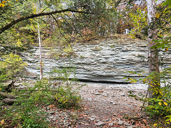 Layers of ancient limestone tell Earth's story one sedimentary line at a time, like nature's own history book.