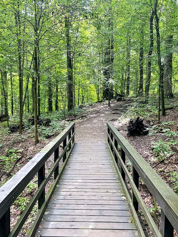 Wooden Bridge: This humble crossing connects worlds &ndash; from everyday Ohio to an enchanted forest where time slows and worries dissolve.