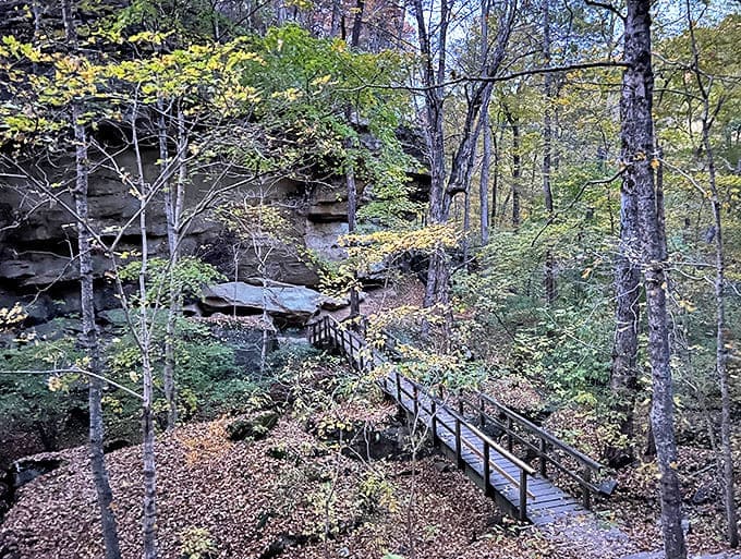 A wooden staircase descends into the heart of the forest, promising adventures below the rim where history whispers.