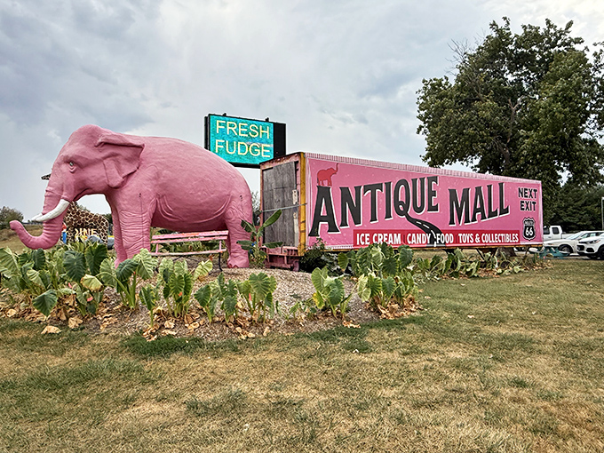 When pigs fly? No, but elephants do turn pink in Livingston, where this rosy pachyderm guards an antique mall with cotton-candy colored charm.
