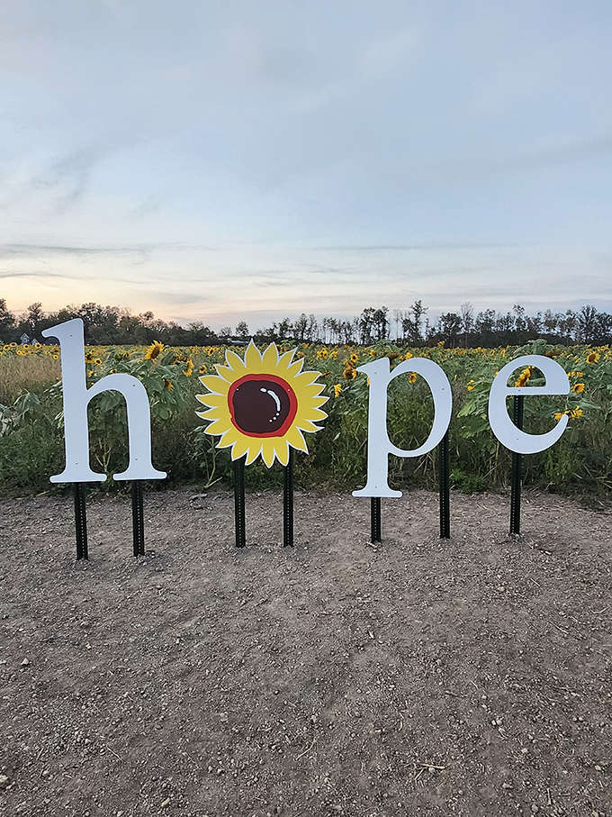 The word "hope" spelled out against a backdrop of sunflowers at Prayers From Maria field captures the heart of this meaningful destination.