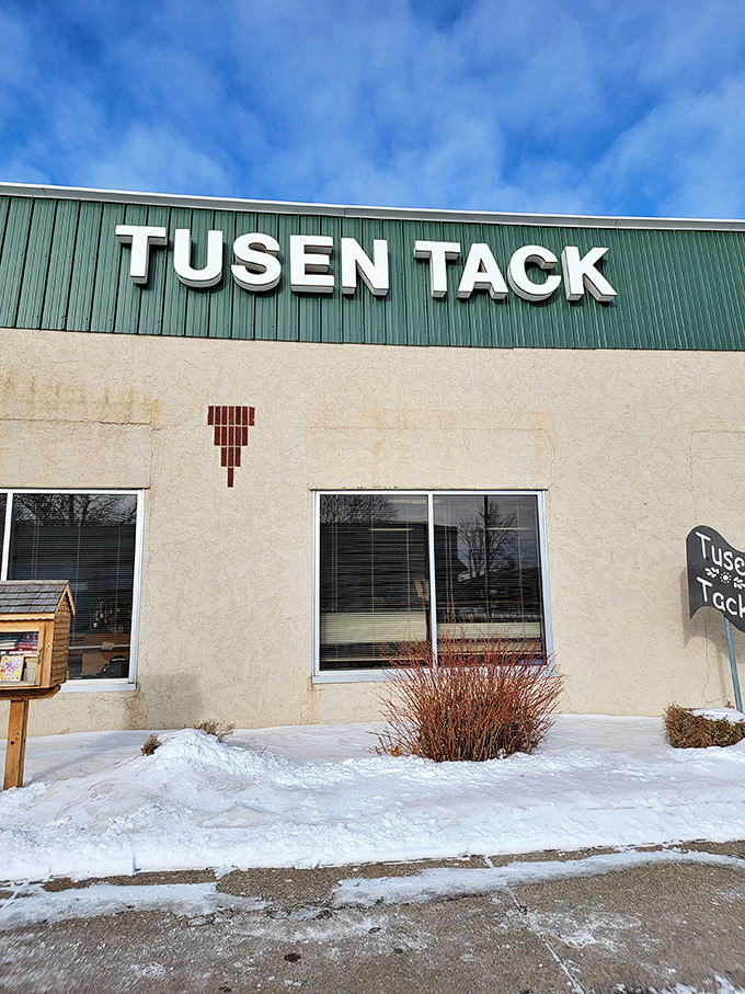 Winter or summer, Tusen Tack Thrift Store's distinctive green signage guides bargain hunters to this Braham community landmark.