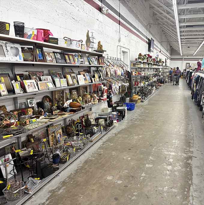 Dishes, glassware, and home goods stretch as far as the eye can see in this thrifter's paradise.