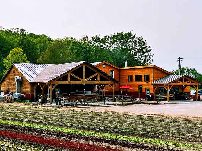 9 Bean Rows' rustic wooden structure houses farm-fresh culinary magic, where the distance from soil to plate is measured in footsteps.