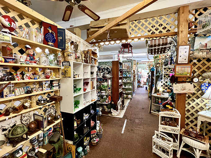 Narrow pathways create a treasure hunter's paradise where every turn reveals another decade's worth of delightful discoveries.