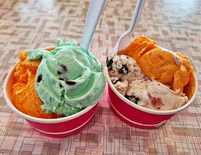 Two cups of frozen happiness &ndash; mint chocolate chip alongside a creamy medley &ndash; proof that sometimes the hardest choice is the most delicious one.