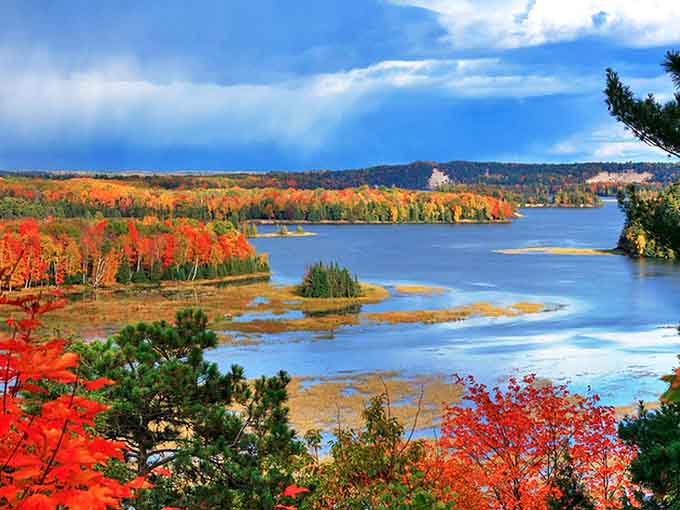 Nature's masterpiece on display: the Au Sable River in autumn glory, where the water mirrors a kaleidoscope of reds and golds.