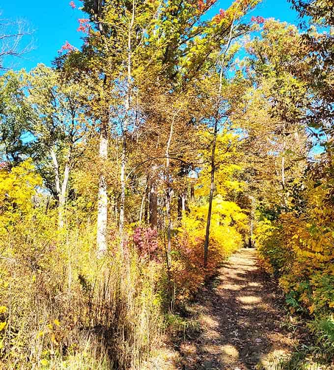 Fall transforms Buffalo Rock into a painter's palette, where visitors perch like colorful birds on the edge of dramatic limestone cliffs.
