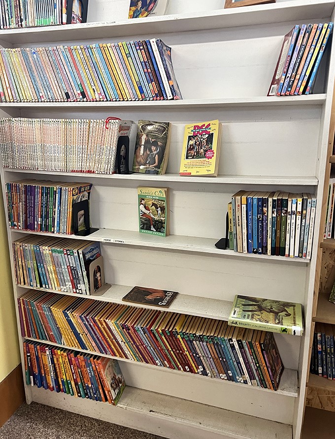 Children's books organized with military precision. Remember when your biggest dilemma was choosing between Nancy Drew and The Hardy Boys?