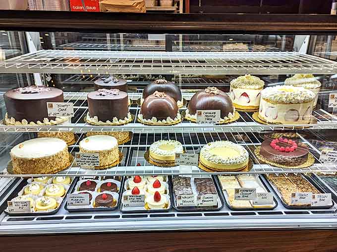 Behold the cake case of dreams, where every layer promises to make your next celebration absolutely unforgettable.