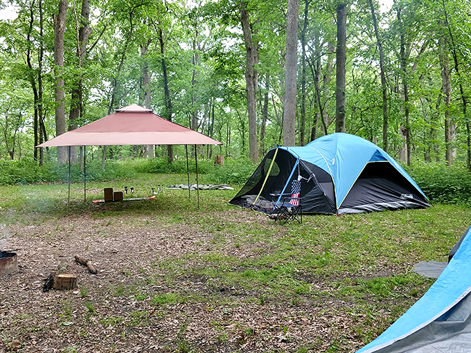 Camping near Kirkland means space to breathe. No overcrowded sites here—just you, nature, and enough civilization for comfort.