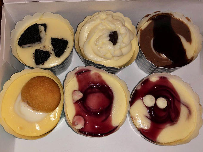A box of assorted mini cheesecakes showcases the artistry &ndash; cookies and cream, classic swirls, chocolate marble, and fruit-topped treasures all vying for attention.