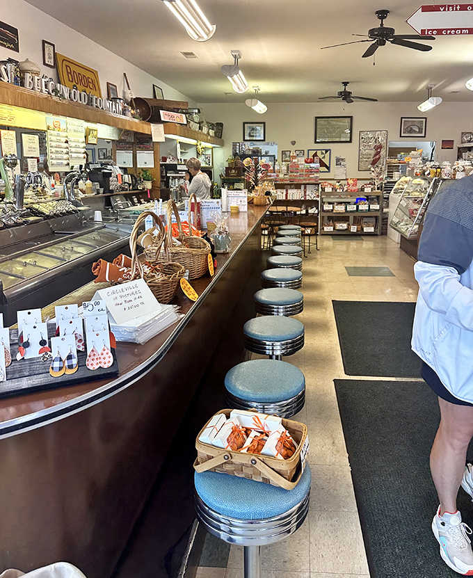 Classic blue vinyl stools line the counter, inviting visitors to perch and ponder life's most important question: chocolate or vanilla? (The correct answer is both.)