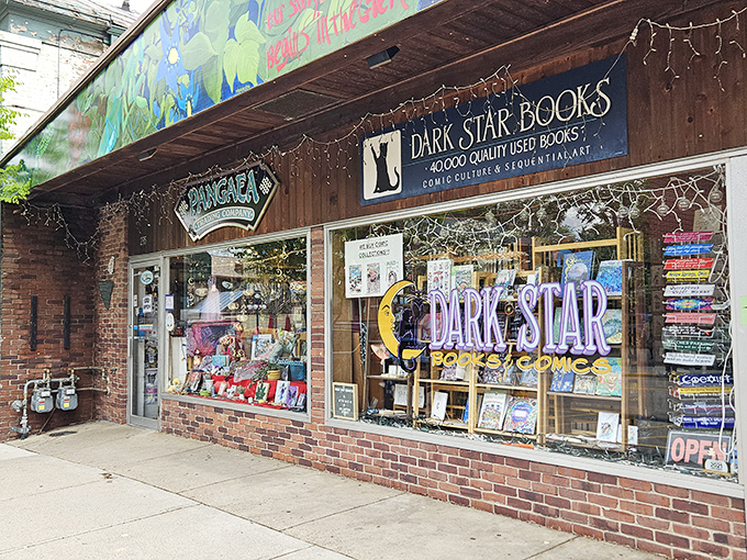Dark Star Books beckons bibliophiles with its cosmic collection of literary treasures and a shop cat who's definitely judging your reading choices.