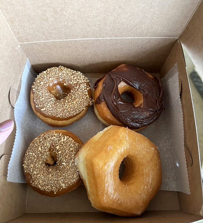 Donut box perfection! These golden-brown beauties showcase the ideal balance of textures that only comes from decades of practice.
