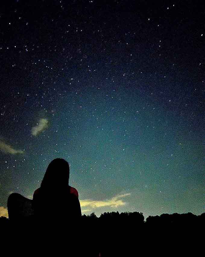 Under Lawless Park's internationally recognized dark skies, the Milky Way puts on a show that no city dweller gets to experience.