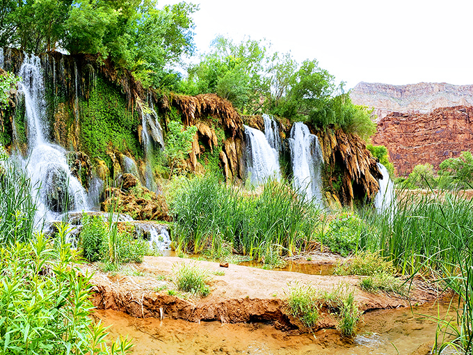 Nature's hanging gardens: Lush vegetation clings to the moisture-rich rocks, creating mini-ecosystems in this desert paradise.