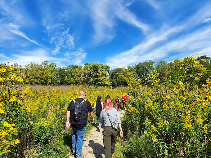 Visitors stroll through golden meadows on nature trails surrounding Sugarcreek &ndash; a perfect respite from the hustle of modern life.