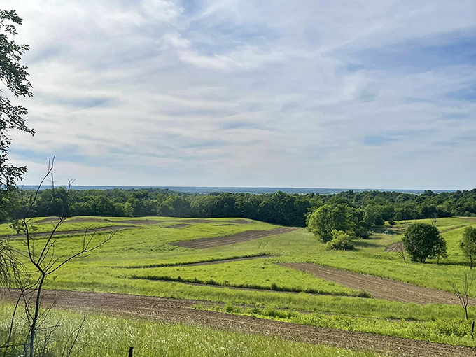 Holy Hills Preserve offers a sanctuary of tranquility where hiking trails wind through unspoiled wilderness, inviting explorers to discover Ohio's natural treasures.