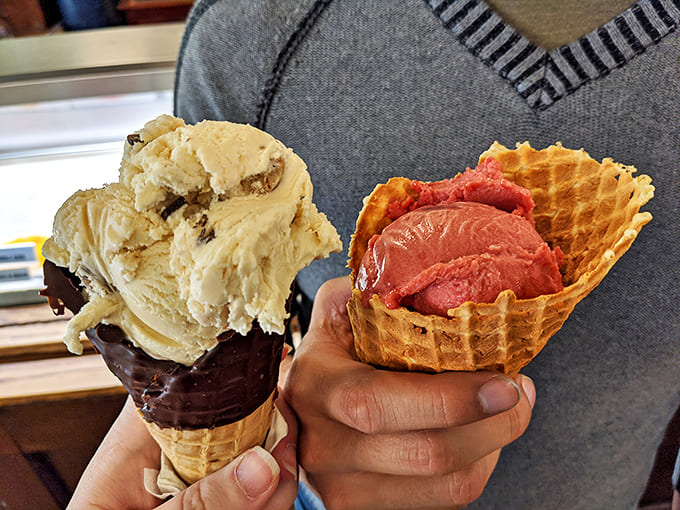 Two perfect scoops in crispy cones, one vanilla with mix-ins and one strawberry, proof that simple pleasures are often the best.