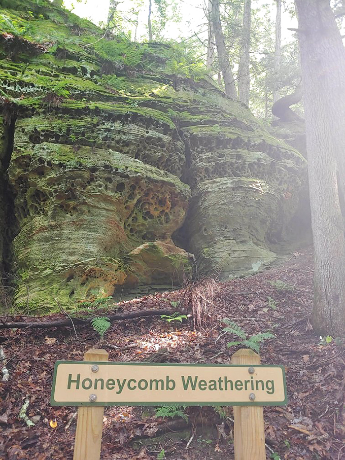 Honeycomb weathering transforms ordinary rock into nature's Swiss cheese &ndash; proof that Mother Nature was into abstract art long before humans.