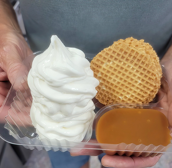 Ice Cream Waffle: The holy trinity of dessert perfection: crisp golden waffle, cloud-like soft serve, and caramel sauce that demands to be savored.