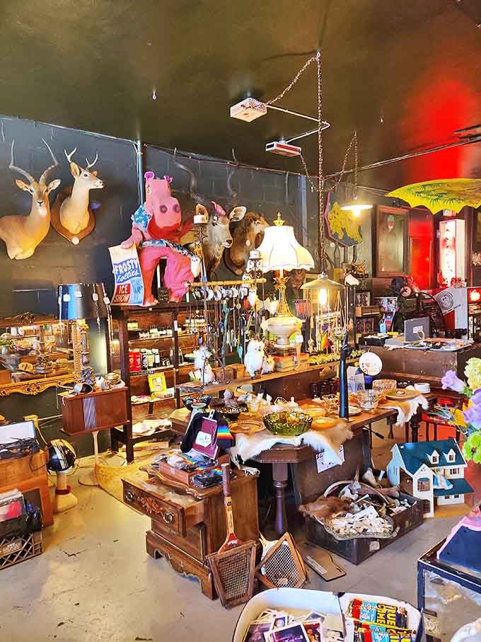 Welcome to organized chaos at its finest, where every surface holds treasures and your eyes don't know where to look first.