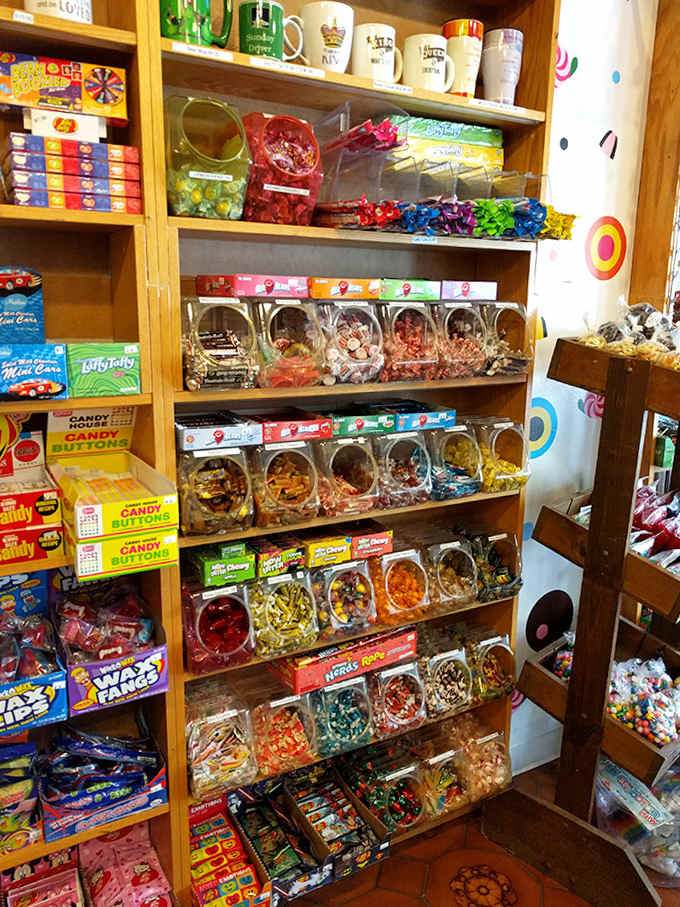 Glass jars filled with colorful candies line the shelves like edible jewels, each one containing a different flavor adventure waiting to happen.