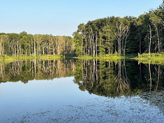 Kennekuk County Park's mirror-like waters reflect towering trees, creating a double dose of natural beauty that's twice as nice as your average pond.
