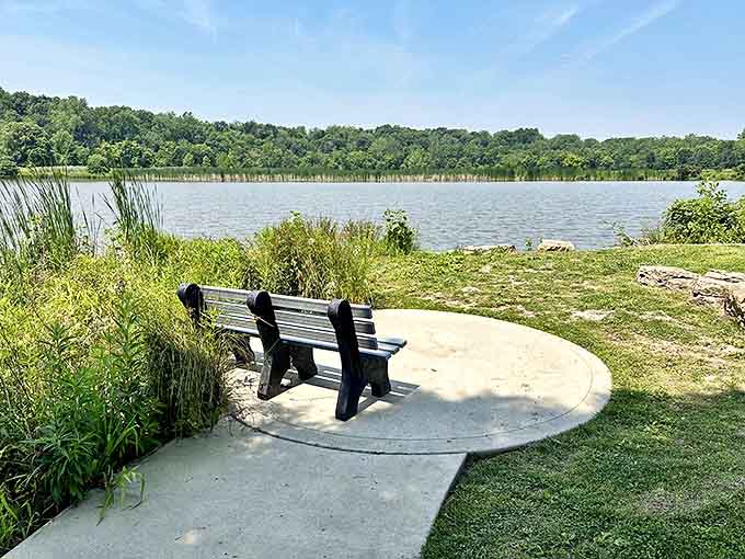 A peaceful bench awaits contemplative visitors, positioned perfectly for watching the gentle ripples dance across the pond's surface.