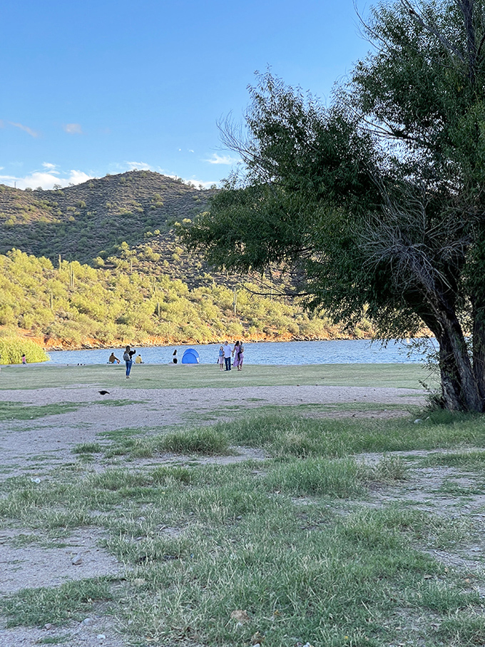 Weekend warriors stake their claim along the shoreline, where desert meets water in a geographical plot twist worthy of M. Night Shyamalan.