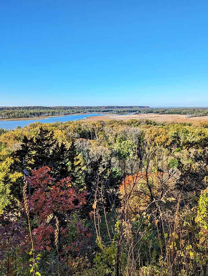 Fall's fiery palette transforms the refuge into a painter's dream, with colors so vivid they almost hurt your eyes.