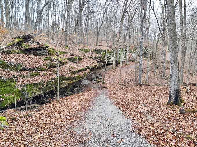 Autumn's golden carpet leads visitors through a landscape where time moves differently &ndash; measured in geological epochs rather than minutes.