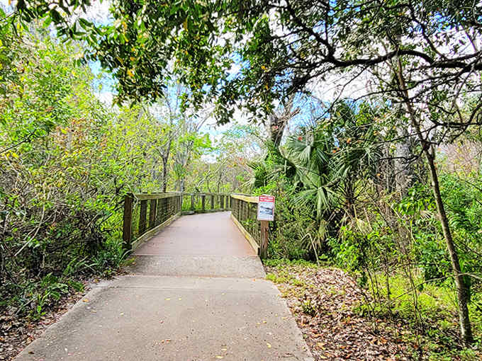 The path less traveled beckons with wooden railings guiding visitors through a green cathedral of native Florida foliage.
