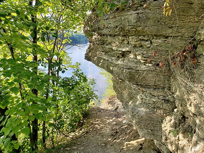 The trail hugs dramatic cliffs overlooking the Mississippi River, where city meets wilderness in perfect harmony.
