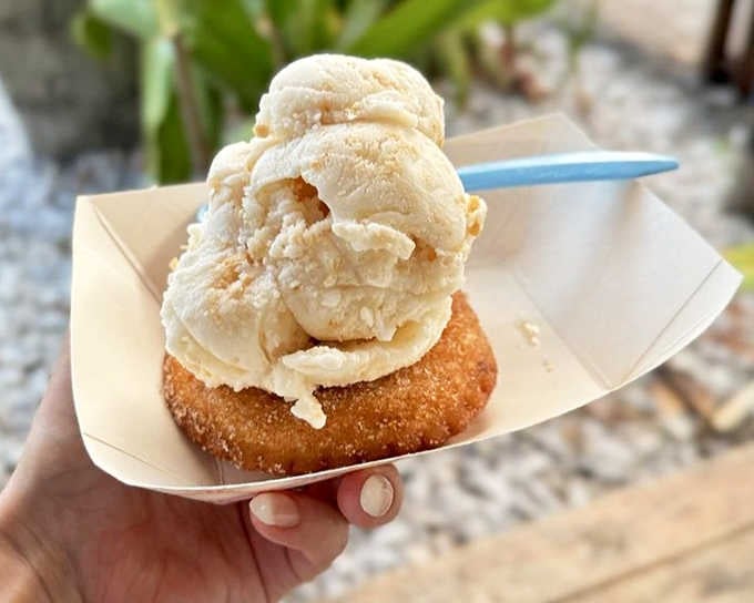 A warm, cinnamon-dusted churro embraces cool, creamy ice cream in perfect harmony. This churro sandwich isn't just dessert&mdash;it's a textural love story with a happy ending.