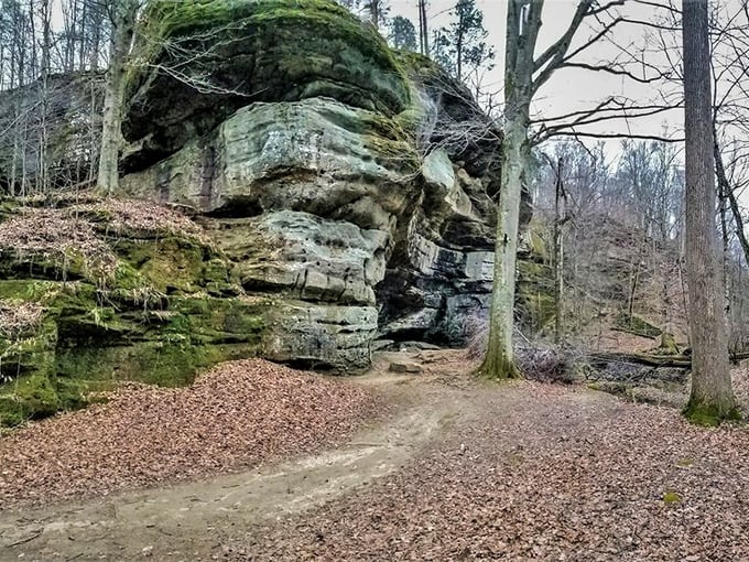 This imposing rock face has witnessed millennia of seasons, its weathered surface a testament to nature's patient artistry.
