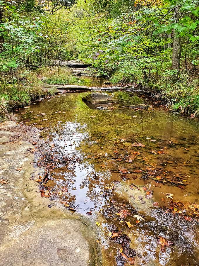 This peaceful stream whispers instead of shouts, which is exactly the kind of conversation we need more of these days.
