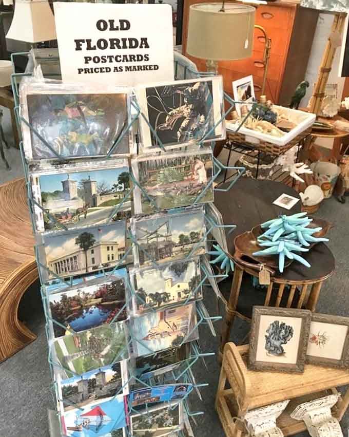 Old Florida postcards capture a state before air conditioning, when tourism meant something entirely different and alligators were the main attraction.