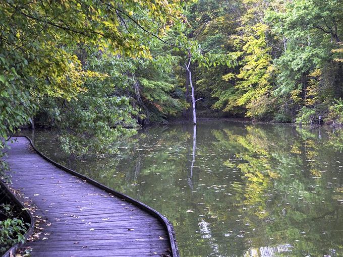 Mirror-like waters of Powel Crosley Lake capture perfect reflections, doubling the beauty of the surrounding forest.