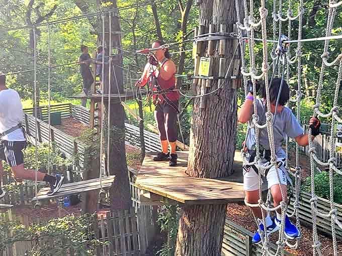 Balancing act extraordinaire: participants navigate wooden planks suspended mid-air, where "don't look down" becomes both mantra and impossibility.
