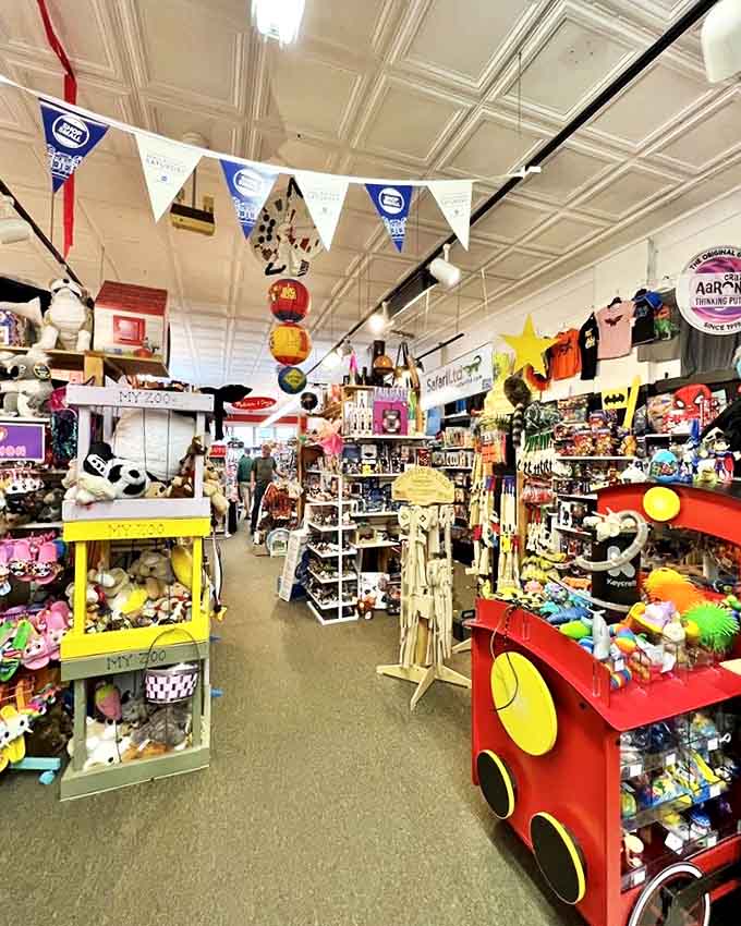 Navigating these aisles feels like exploring a treasure map where X marks every spot &ndash; each shelf a new adventure waiting to unfold.