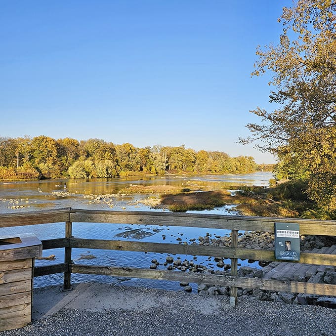 The Maumee River flows gently past rocky outcroppings, a timeless current that shaped this town long before streets were paved.