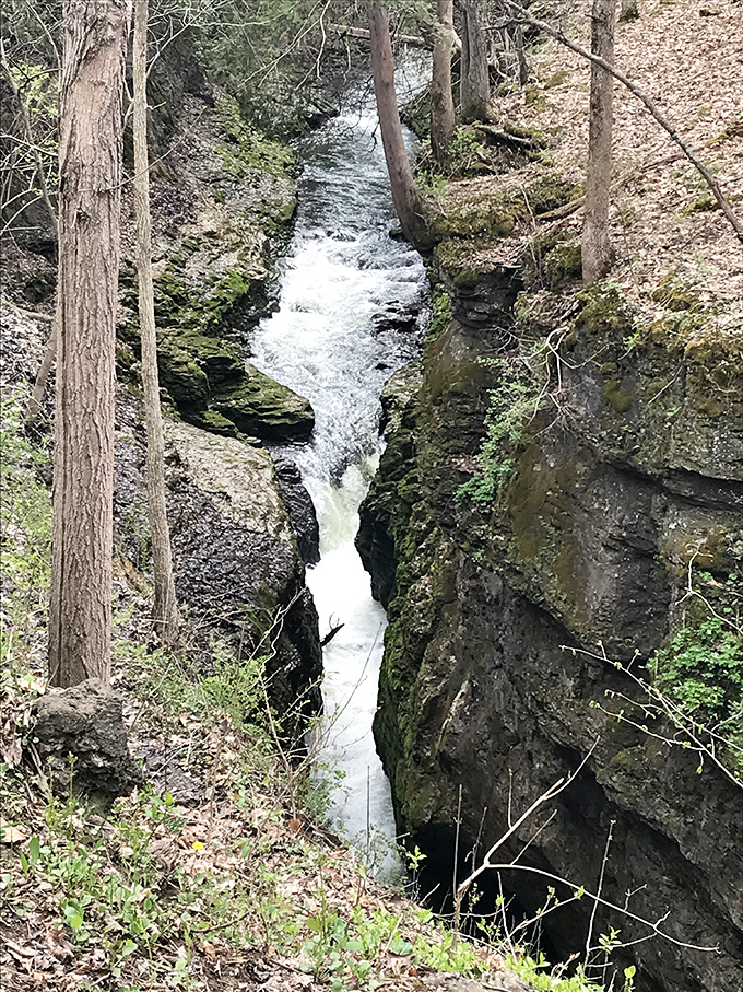 Water, the patient sculptor, has carved this dramatic channel through solid rock over millennia. Nature's persistence on display.