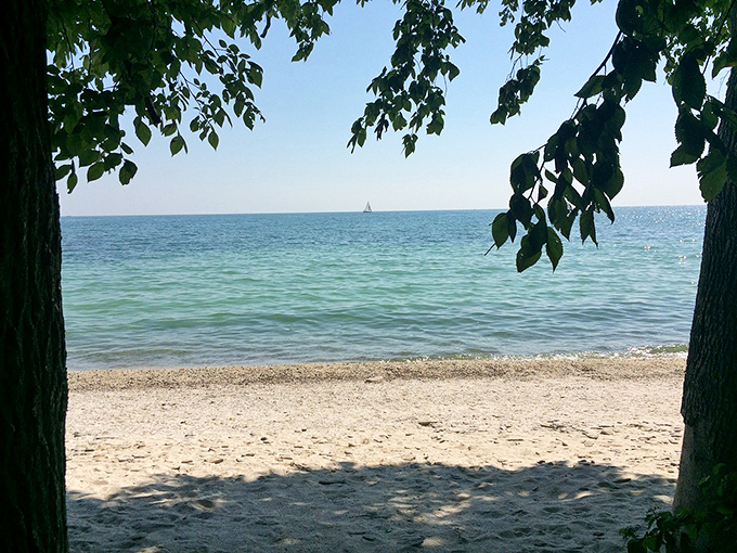 Scheele Preserve offers a tranquil glimpse of Lake Erie's shoreline, where water meets sky in a perfect blue horizon.