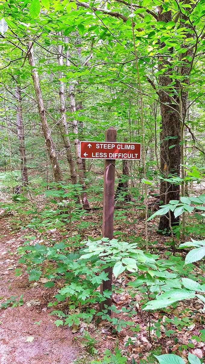 "Steep Climb or Less Difficult?" The trail offers choices for every hiker &ndash; like life, but with clearer signage and fewer emails.