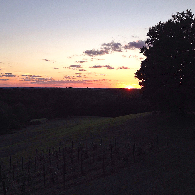 As day surrenders to dusk, the Athens countryside puts on a spectacular light show, with vineyards silhouetted against a canvas of orange and purple.
