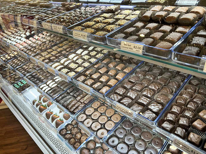 Chocolate delights arranged with military precision, each one promising a moment of pure bliss. Resistance is futile!